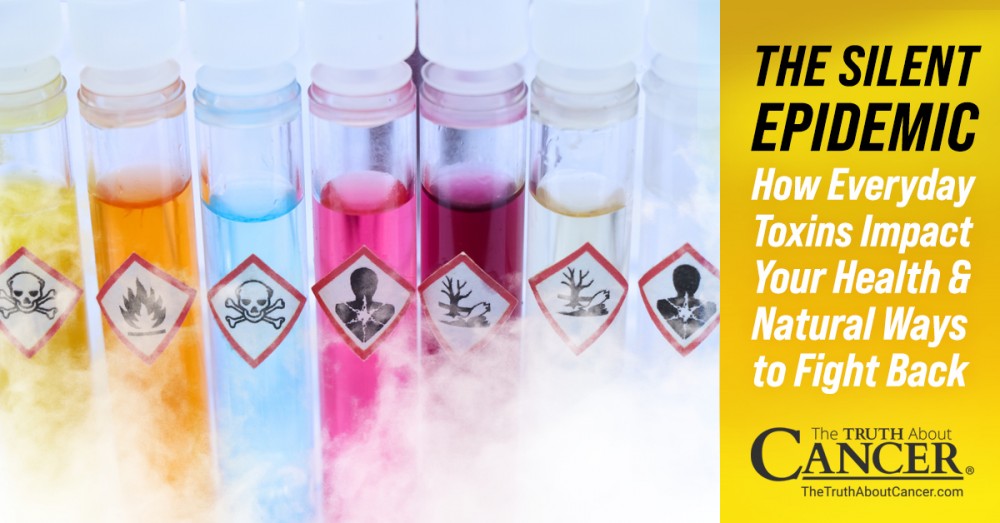 The Silent Epidemic: How Everyday Toxins Impact Your Health & Natural ...