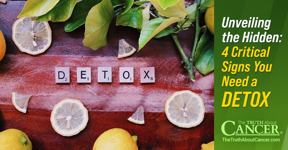 Is Your Body on Toxic Overload?: 4 Signs You Need to Detox